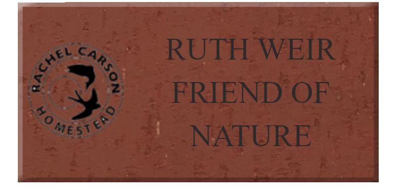 Your Tribute – Help Pave the Way! - Rachel Carson Homestead