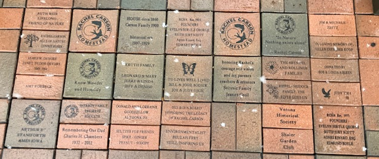 Your Tribute – Help Pave the Way! - Rachel Carson Homestead